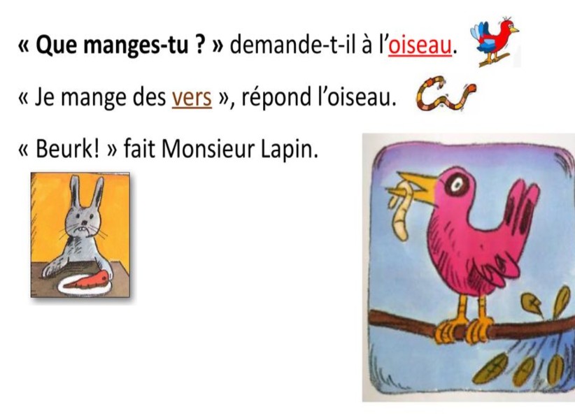 exercices cp bon appétit monsieur lapin