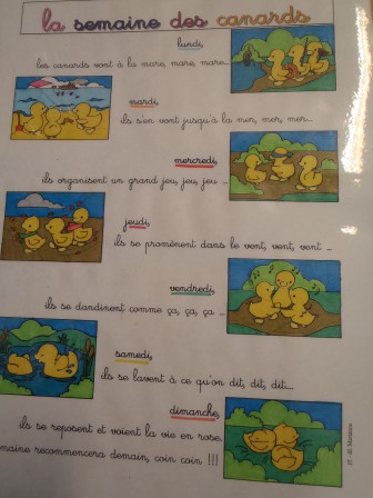 La semaine des canards - msgsmondrepuis