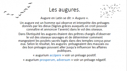 Les augures - cordiaculturae